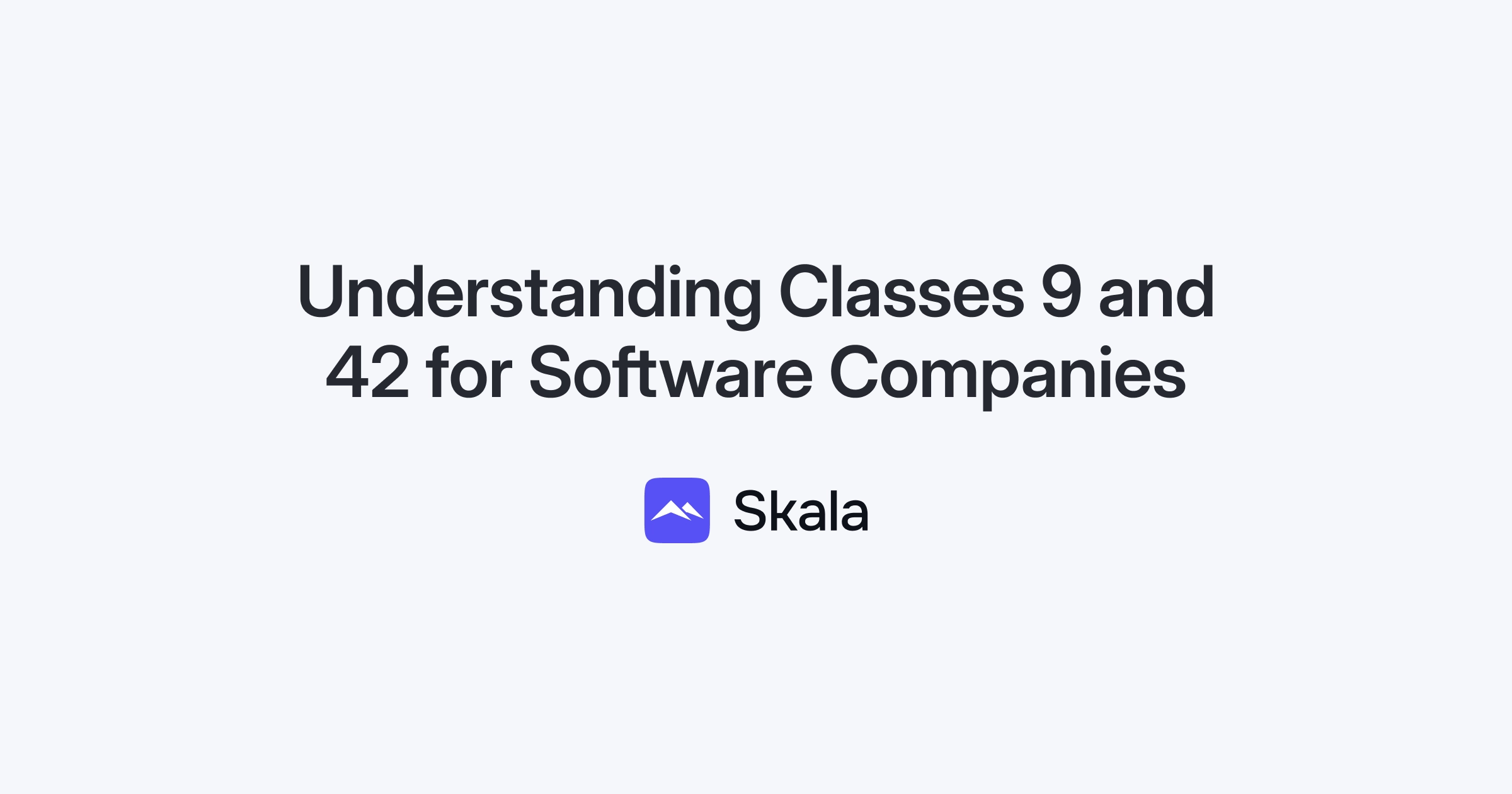 Understanding Classes 9 and 42 for Software Companies — Skala